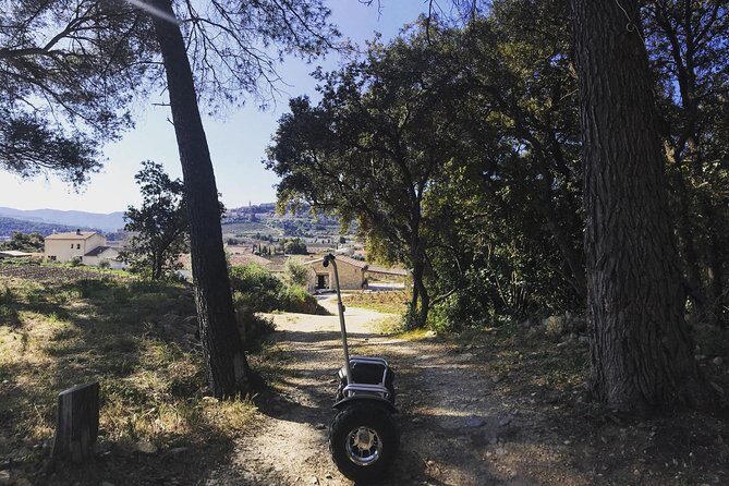 Vineyard visit in Gyropode, visit of Cave & Tasting Wines of Bandol - The Sum Up: Who Will Love This Experience?