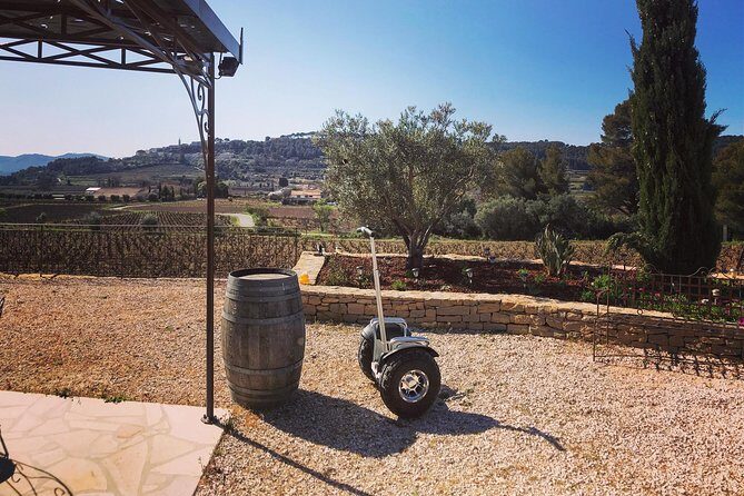 Vineyard visit in Gyropode, visit of Cave & Tasting Wines of Bandol - FAQs