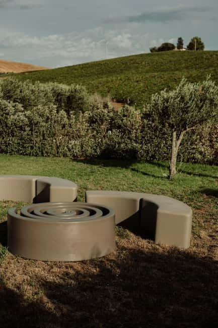 Vineyard Walk and Tasting - An In-Depth Look at the Vineyard Walk and Tasting Tour