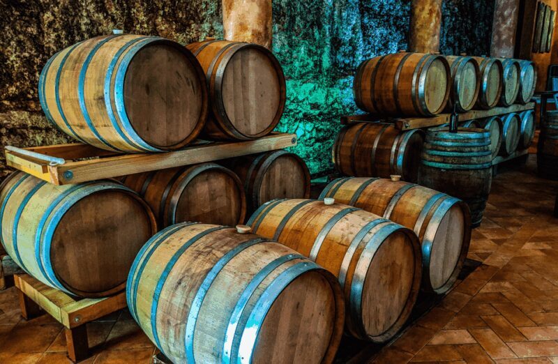 Vineyard Walk & Wine Tasting in the Berici Hills of Vicenza - Key Points
