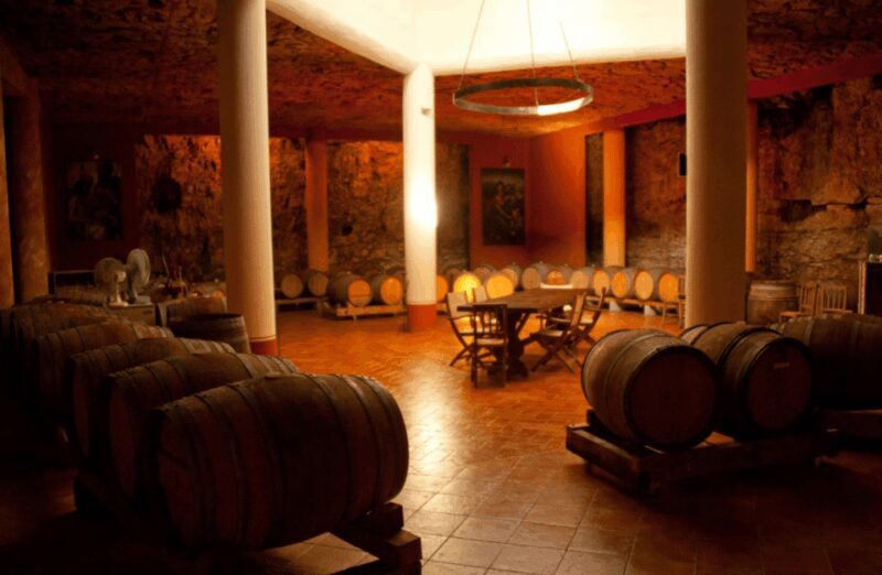 Vineyard Walk & Wine Tasting in the Berici Hills of Vicenza - Tasting the Wines and Artisanal Pairings