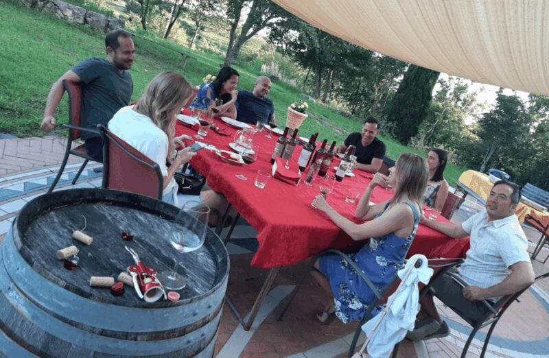 Vineyard Walk & Wine Tasting in the Berici Hills of Vicenza - Who Should Sign Up?