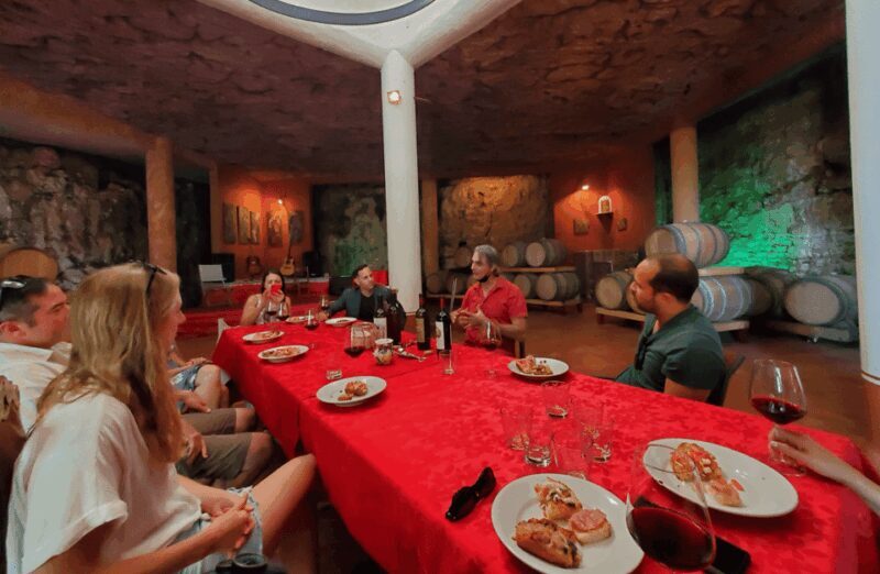 Vineyard Walk & Wine Tasting in the Berici Hills of Vicenza - Practical Tips for Visitors