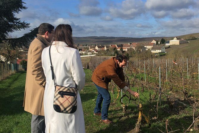 Vineyard Walking Tour & 5 Champagnes Tasting - A Hands-On Tour of France’s Champagne Region: Vineyard Walk & Five Champagne Tastings