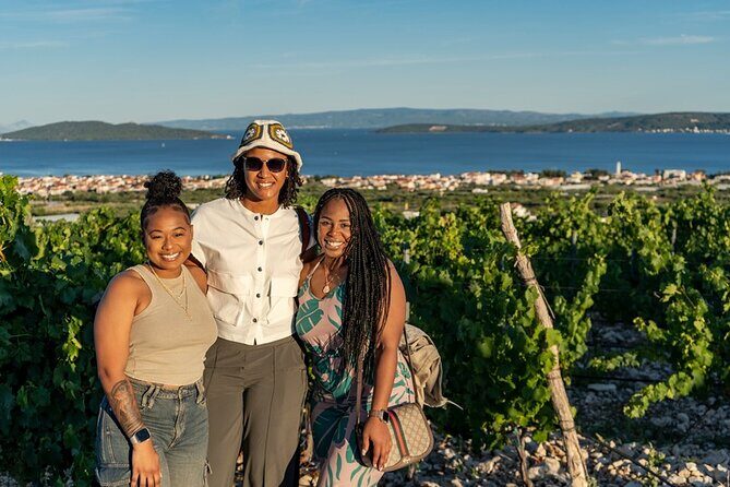Vineyard Wine Tasting Experience with a Sea view from Split - Diving Into the Itinerary: What To Expect