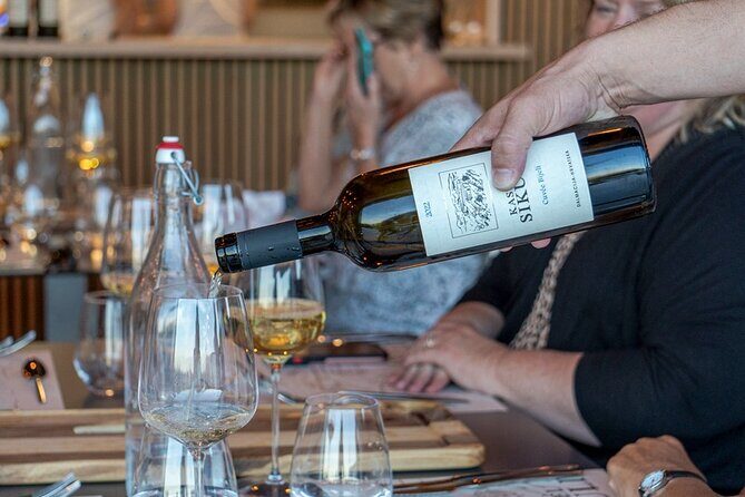 Vineyard Wine Tasting Experience with a Sea view from Split - Real Traveler Feedback and Insights