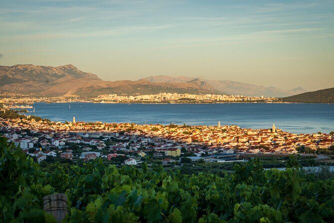 Vineyard Wine Tasting Experience with a Sea view from Split - Who Is This Tour Best For?