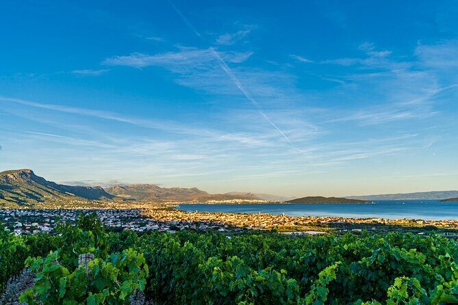 Vineyard Wine Tasting Experience with a Sea view from Split - FAQs