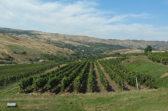 Vineyards and wine tasting experience - Final Thoughts