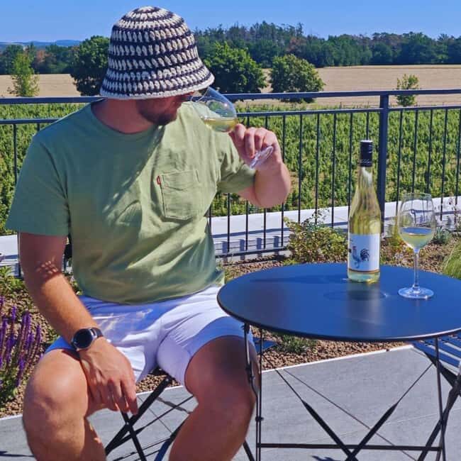 Vineyards & Castles : Czech Wine and Culture Tour - Key Points