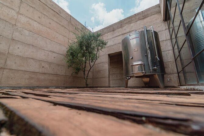 Vineyards, Wine Tasting and Pairing in San Miguel - What You Can Expect at Each Winery