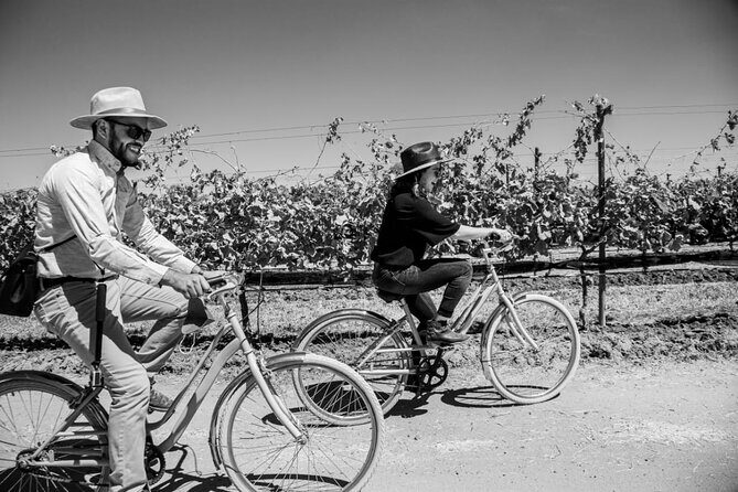 Vineyards, Wine Tasting and Pairing in San Miguel - FAQ