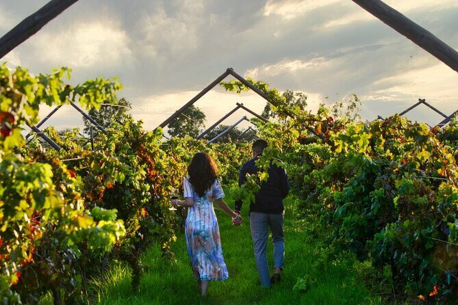 Vineyards, Wine Tasting and Pairing in San Miguel - Final Thoughts