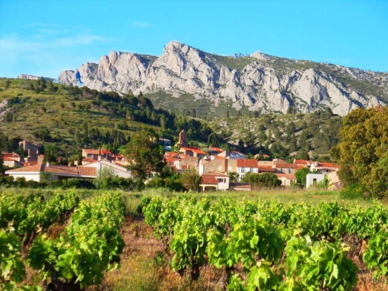 vingrau : wine tasting - Key Points