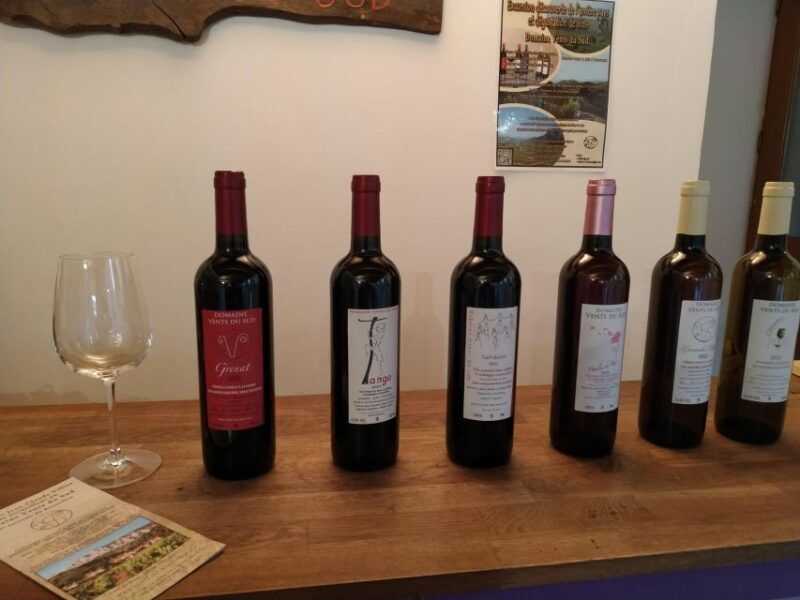 vingrau : wine tasting - Exploring the Flavors and Winemaking Techniques