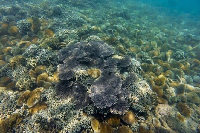 Vinh Hy Bay Snorkeling, Hidden Waterfall Discovery from Mui Ne - Key Points