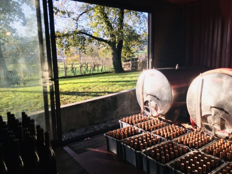 Vinho Verde 2 Wineries + Guimarães - from Porto - Itinerary Breakdown: What to Expect from Start to Finish