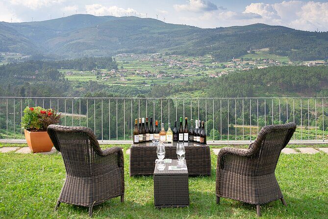 Vinho Verde Experience with 2 Wineries and Lunch - What We Love and What to Consider