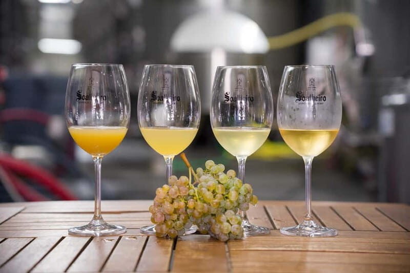 Vinho Verde: Private Wine Tasting w/ Tapas & Fortress Visit - Key Points