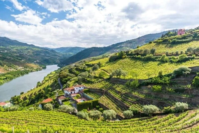 Vinho Verde: Visit 3 Wineries with wine tastings and Lunch - Experience the Charm of Portugal’s Vinho Verde: A Detailed Tour Review