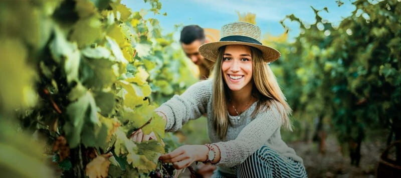Vinho Verde: Visit 3 Wineries with wine tastings and Lunch - Final Thoughts