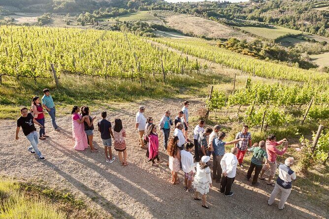 Vino Nobile di Montepulciano Wine Tour - Meet the producers - A Closer Look at the Experience
