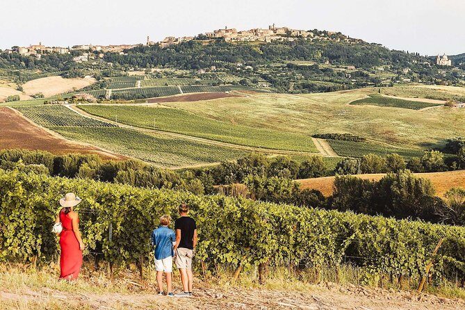 Vino Nobile di Montepulciano Wine Tour - Meet the producers - Who Will Love This Tour?