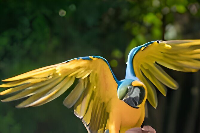 Vinpearl Phu Quoc vietnam World of Relaxation Fun and Discovery - The Optional VinWonders Phu Quoc