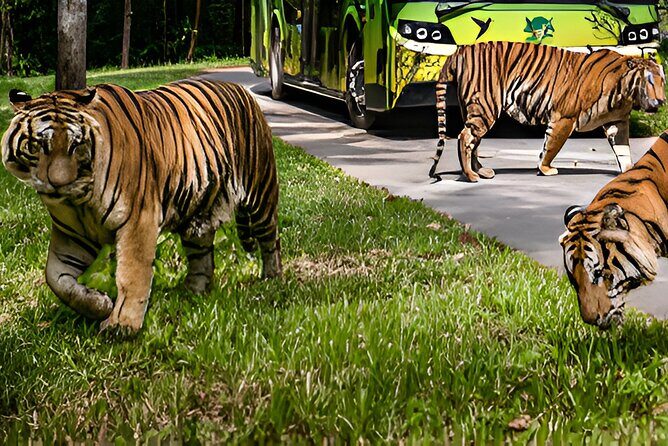 Vinpearl Phu Quoc vietnam World of Relaxation Fun and Discovery - Authentic Feedback and Insights