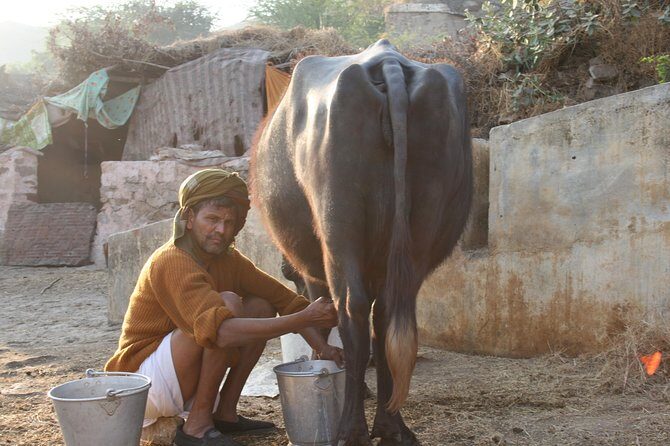 Vintage Walk Amer - Why We Think This Tour Works Well