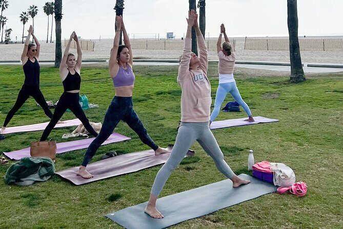 Vinyasa Yoga Class on the Beach in Santa Monica in French - An Unconventional Yoga Experience on Santa Monica Beach