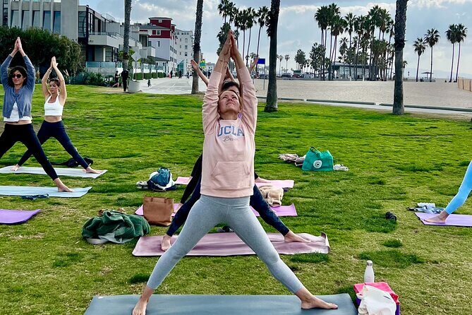 Vinyasa Yoga Class on the Beach in Santa Monica in French - The Cost and Value