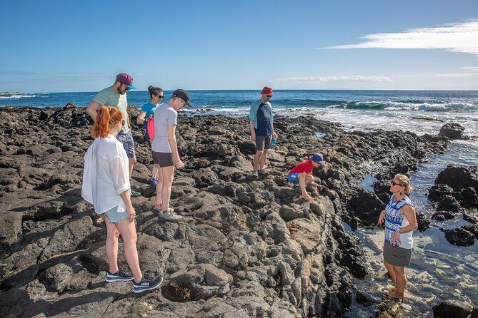 VIP Aloha Style Private Island Tour - Who Is This Tour Best Suited For?