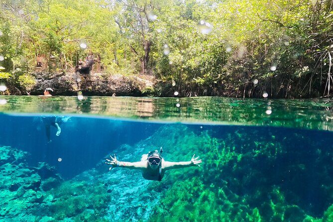 VIP Cenotes, ATVs & Ziplines Private Tour - Who Will Love This Tour?
