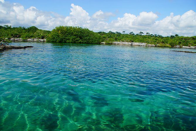 VIP Cenotes Private Tour - An In-Depth Look at the Tour Experience