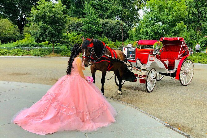 VIP Central Park Champagne Tour with Photos(50 min)~Skip the line - Value and Price Consideration