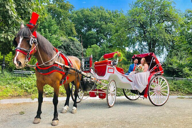 VIP Central Park Champagne Tour with Photos(50 min)~Skip the line - Authentic Reviews: What Real Travelers Say