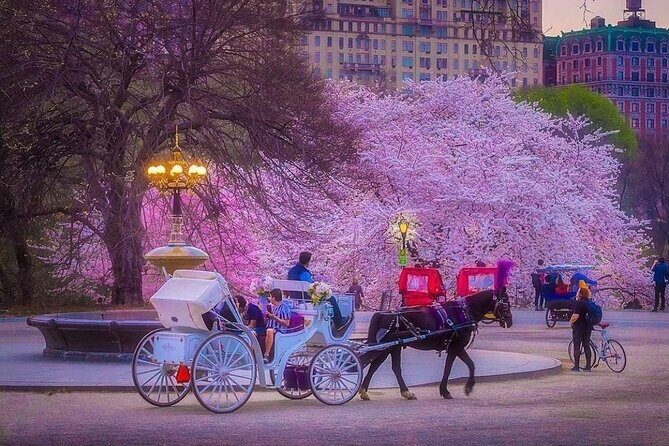 VIP Central Park Champagne Tour with Photos(50 min)~Skip the line - Who Will Love This Experience?