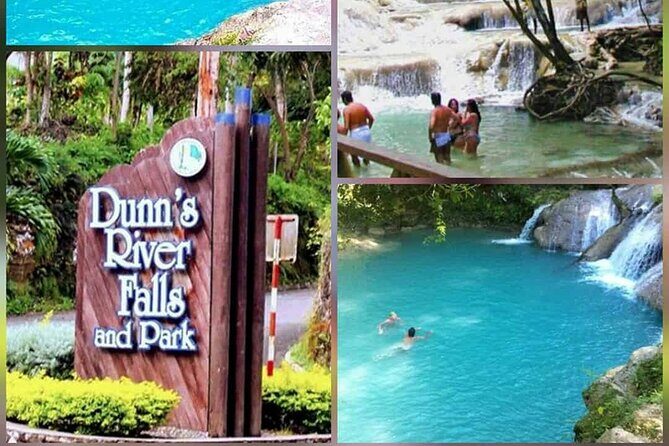 VIP Dunn River Falls and Blue Hole Experience - Who Will Love This Tour?