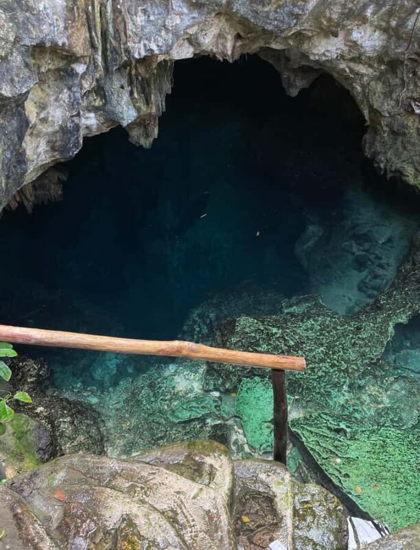 VIP Express Snorkel in 4 Paradise Cenotes - Key Points