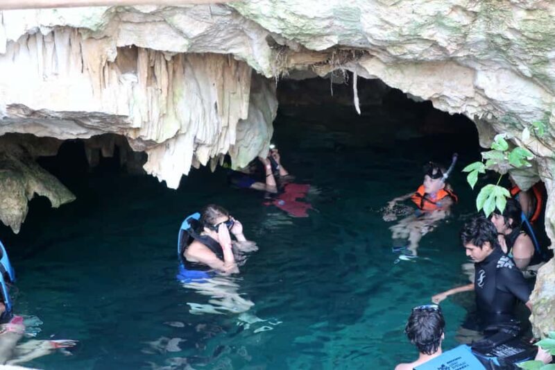 VIP Express Snorkel in 4 Paradise Cenotes - An Honest Look at the Experience