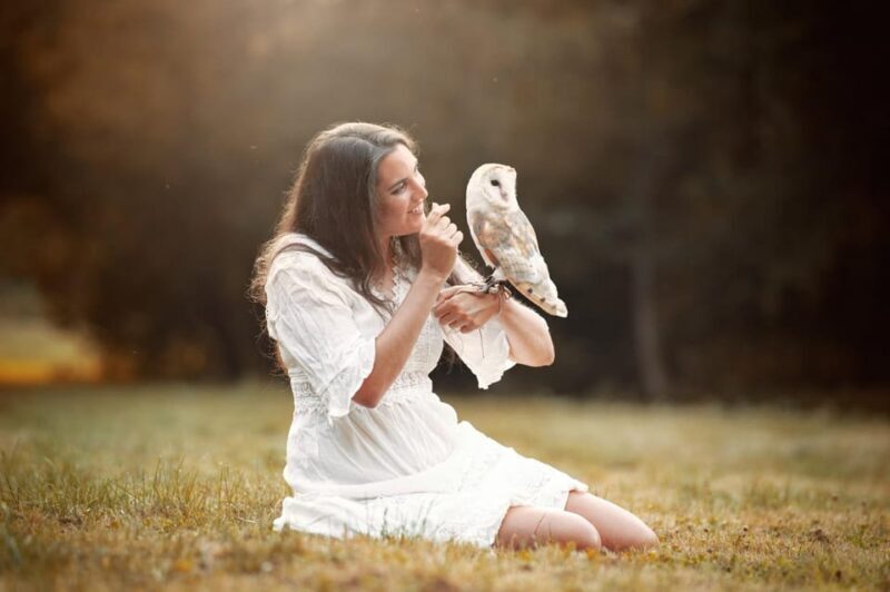 VIP falconry taster session - A Well-Reviewed Experience