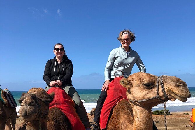 Vip Full Day Private Tangier Tour From Malaga All Inclusive - Who Will Love This Tour?