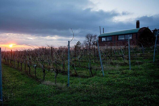 VIP Full Day Wineries Tour from Istanbul - Frequently Asked Questions