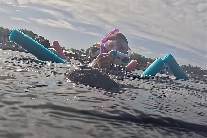 VIP Guided Swim with Manatee Tour Crystal River FL Free Photos - The Experience: What to Expect