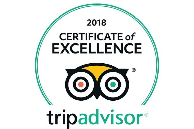 VIP Guided Tour Rome Colosseum, Vatican Museums, lunch included - Final Thoughts: Is This Tour Right for You?