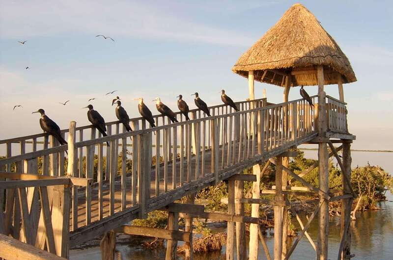 VIP Holbox Island Sunrise - 2 Points + Fruit + Coffee - Introduction: An Early Morning View of Holboxs Natural Charm