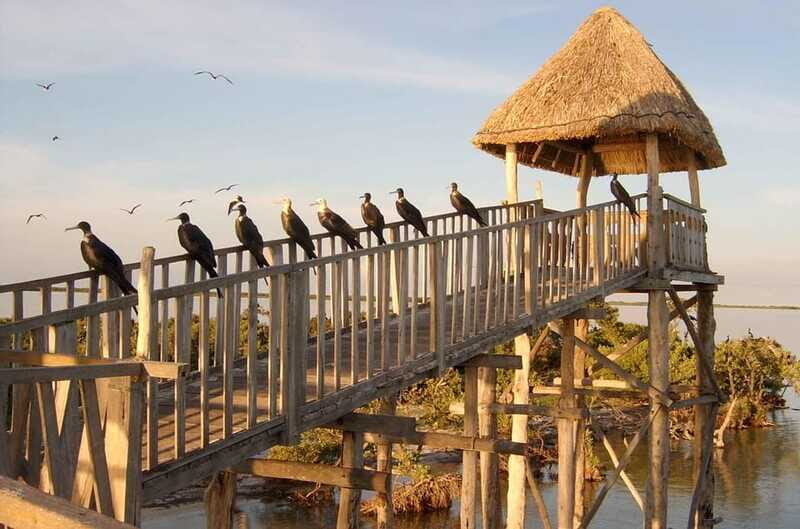 VIP Holbox Island Sunrise - 2 Points + Fruit + Coffee - FAQ
