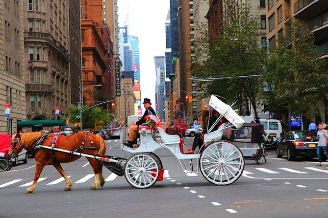 VIP Horse Carriage Ride through Central Park (Up to 4 Adults) - Who Should Consider This Tour?