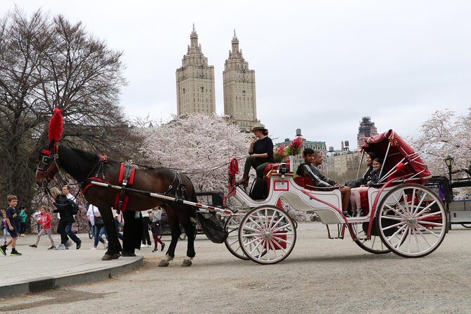 VIP Horse Carriage Ride through Central Park (Up to 4 Adults) - FAQ